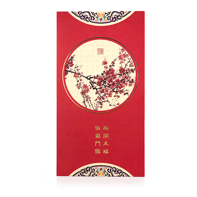 Artcon艺贺 新款烫金礼物大红包通用新年红包6RPE0310A/1枚装