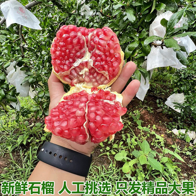 农家自种突尼斯软籽石榴新鲜当季时令水果红宝石无籽石榴精选大果
