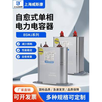 上海威斯康自愈式单相补偿电容器BSMJ0.45-30-1 两个头20 25kvar