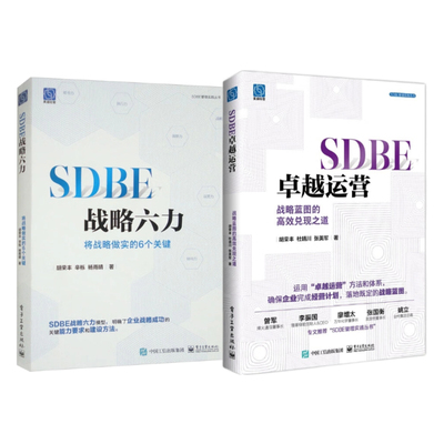 SDBE战略2册：SDBE战略六力：将战略做实的6个关键+SDBE卓越运营：战略蓝图的高效兑现之道