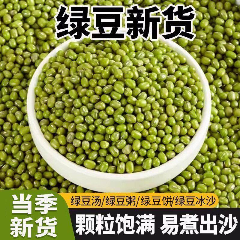 【笨绿豆 】东北新鲜农家新绿豆绿豆糕绿豆汤薄皮新绿豆小绿豆