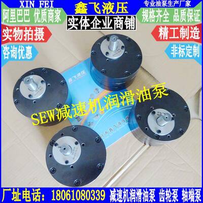 HP12/HP18/HP29/HP47/HP59TYPE轴端泵LU2SEW减速机齿轮油泵