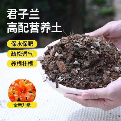 君子兰专用土营养土疏松透气