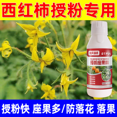 番茄授粉药坐果精膨大素西红柿催花防落果膨大剂防畸形授粉坐果精