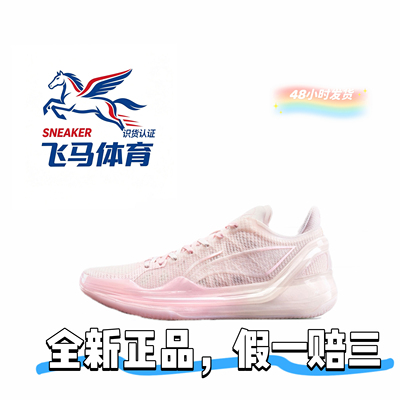 篮球鞋利刃4V2低帮实战篮球鞋