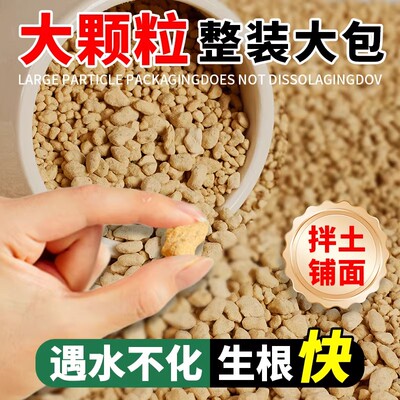 鹿沼土颗粒日本进口鹿藻昭赤玉土