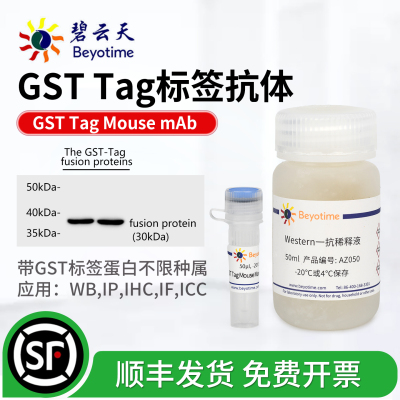 碧云天GST标签鼠单克隆抗体