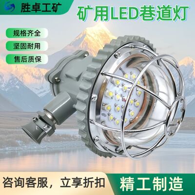 煤矿井下隔爆型LED巷道灯可定制 DJS24/127L矿用隔爆型LED巷道灯