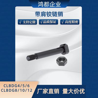 带肩铰链销轴CLBDG CLBGN5 6 8 10 12-15 16 20 22 22 24MIE01 11