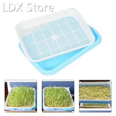 Plastic Durable Sprouting Tray Double Layer Bean Sprouts Hyd