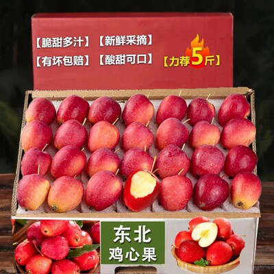 东北鸡心果新鲜 酸甜爽口锦嘎啦小苹果孕妇水果小沙果 绣海棠果