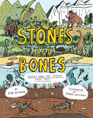 【预售】石头和骨头：化石及其讲述的故事 Stones and Bones: Fossils and the stories they tell 进口童书 童书精选