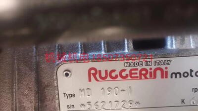 RUGGERiNi鲁格里尼MD150 MD190 RD210 RD270发动机四配套 油嘴 泵