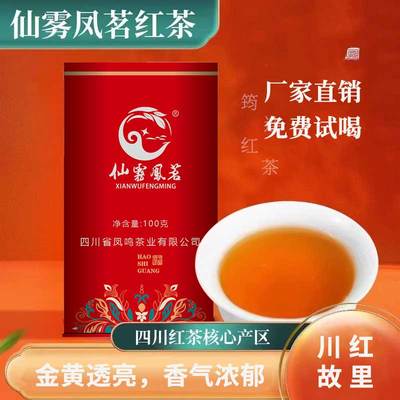 2025筠连仙雾凤茗荒野非小种红茶