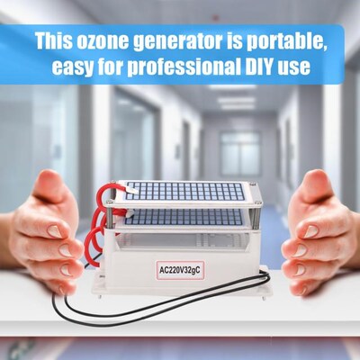 New  32g/h Portable Generator 适用于maldehyde Remove Machine