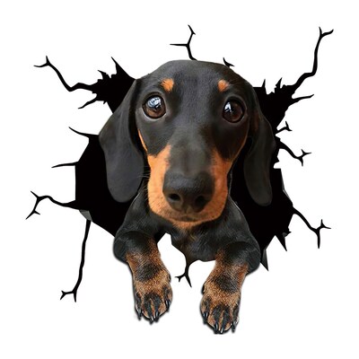 Waterproof Sunproof Car Bumper Dog Sticker Truck SUV Home Of