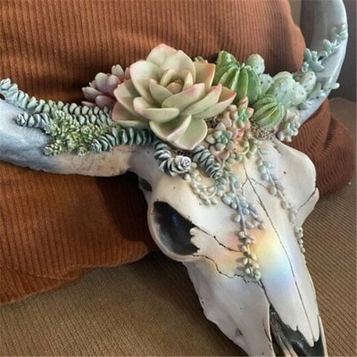 Succulent Flower Cow Skull Wall Decoration Nursery Decor Res