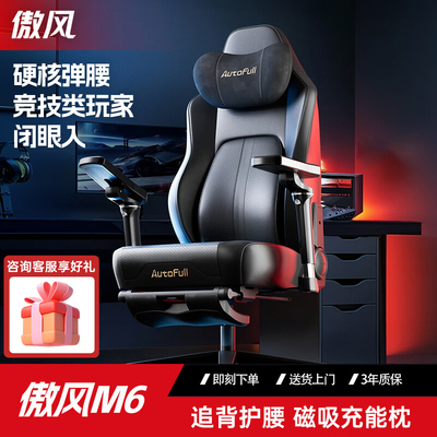 M6傲风人体工学电竞椅