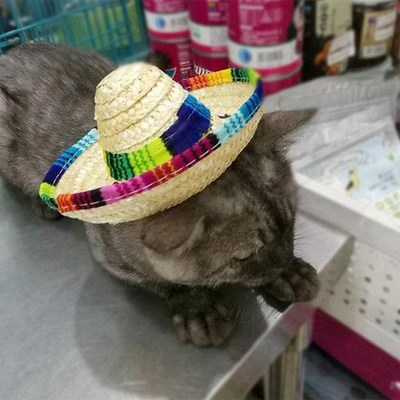 Summer Pet Hat Dog Cat Mexican Straw Sombrero Hat Pet Adjust