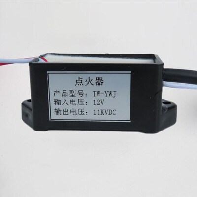 DC 12V High Voltage Pulse Generator DC 3kV-11kV Super Electr
