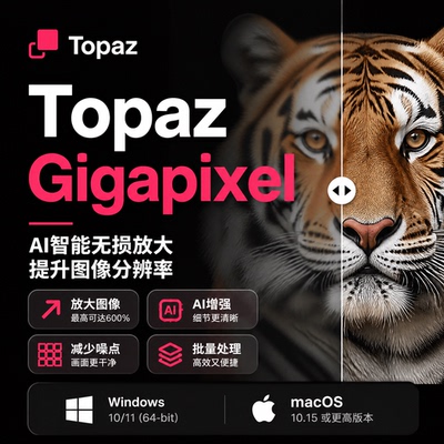 图像放大修复软件Topaz Gigapixel Pro1.3.1高清细节增强人脸修复