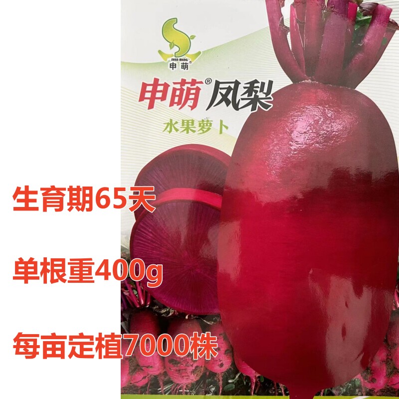 凤梨水果萝卜种籽子四季甜脆超甜红心凤梨水果萝卜种子