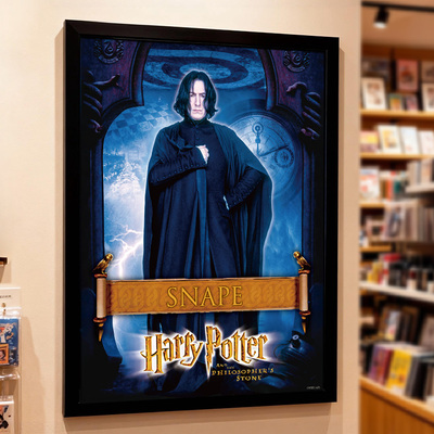 官方正版哈利波特成长印记光栅海报裸眼3D变换宿舍装饰哈利斯内普