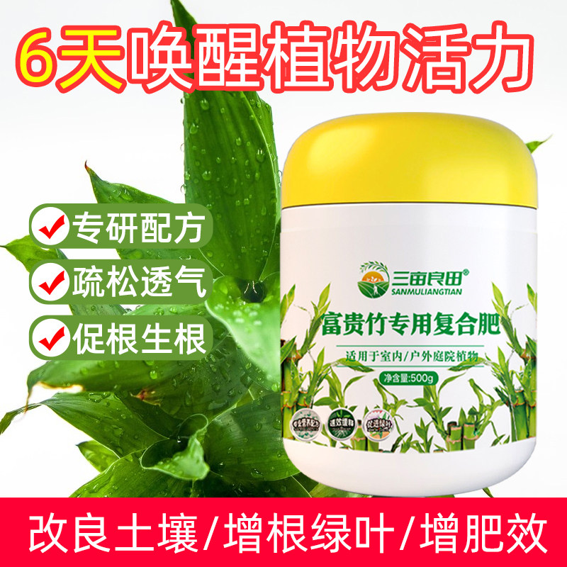 富贵竹缓释肥肥料专用肥观音竹科养花家用植物花肥水培通用有机肥