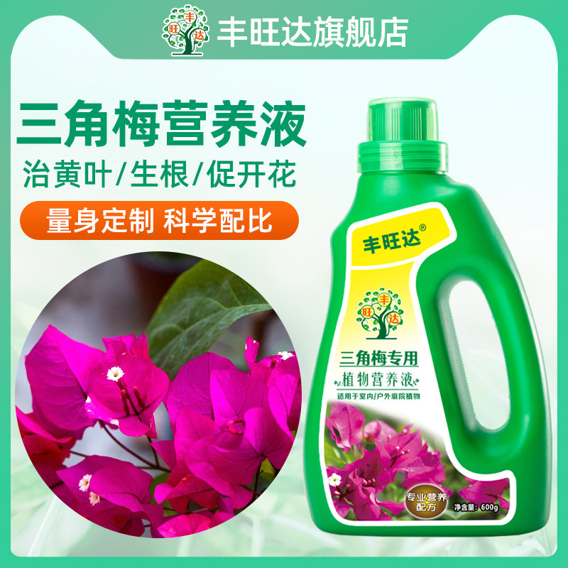 三角梅专用肥开花肥料家用盆栽四季养三叶梅水溶肥茶花桂花复合肥