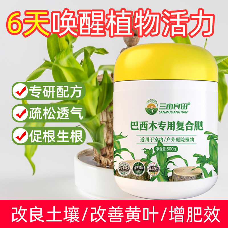 巴西木专用型缓释肥养花肥料盆栽通用幸运木水培水养植物肥料家用