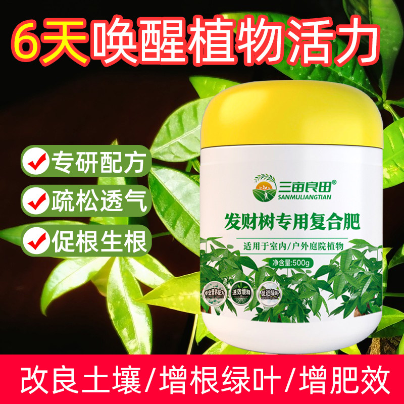 发财树肥料专用肥家用绿萝幸福树平安树有机肥绿植盆栽植物通用型