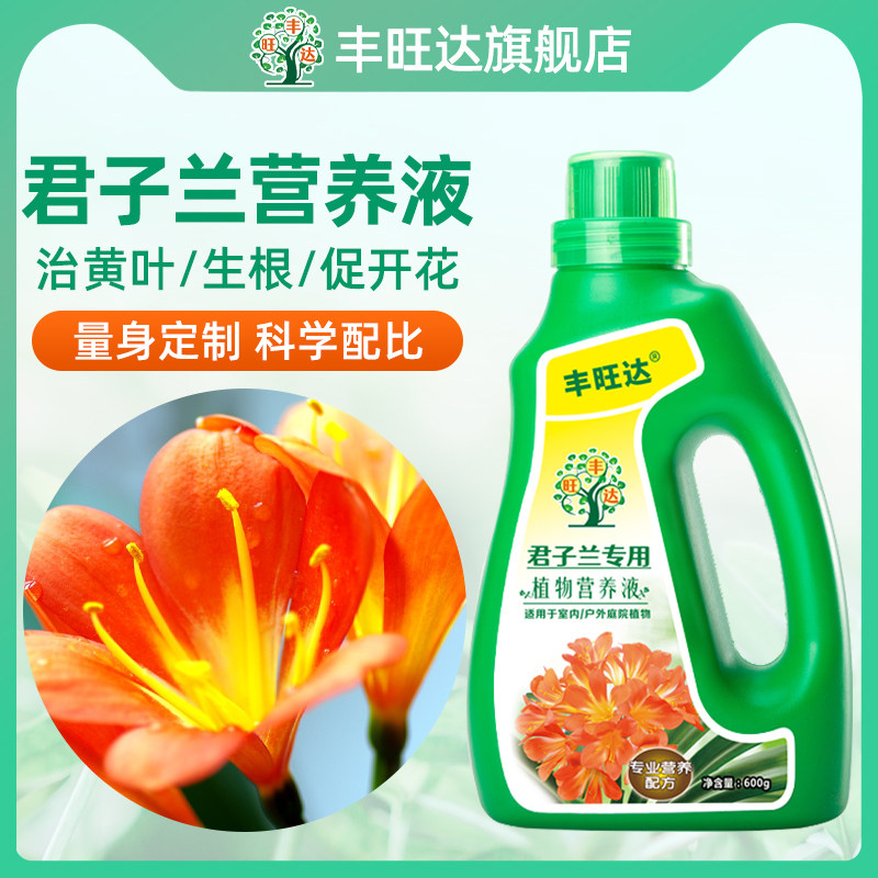 君子兰肥料专用肥开花肥料兰花专用营养液水培水养植物通用型肥料