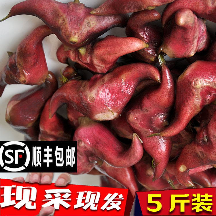 老红菱角新鲜湖北洪湖特产2026当季水果菱角粉糯菱果5斤两角菱角