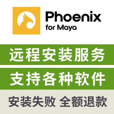 火凤凰PhoenixFD远程安装服务