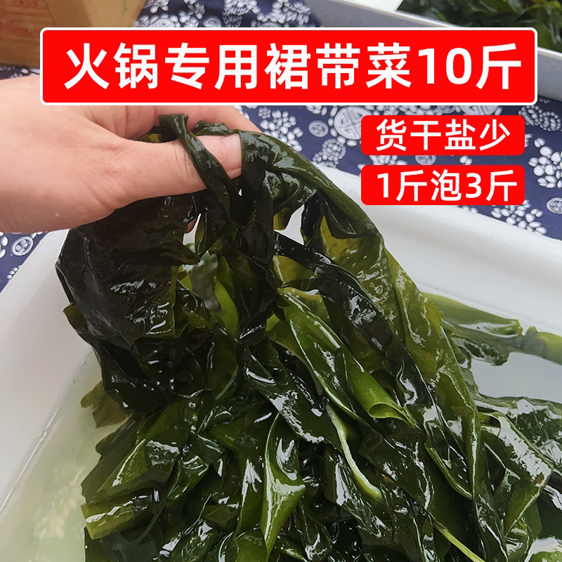 火锅专用裙带菜10斤整箱新鲜嫩芽盐渍海带苗商用凉拌食材非纯干货