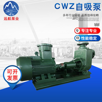 CWZ型船用卧式自吸离心油泵 海水自吸船用泵 不锈钢耐腐蚀自吸泵