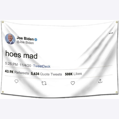 Hoes Mad Joe Flag Biden Tweet 90x150cm涤纶旗帜挂毯