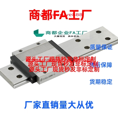 同直线滑导轨滑块SSEBM8 SSEBM10 SSEBM13 SSEBM16 SSEBM20