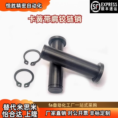 HCDG带肩铰链/卡簧销HCDG3