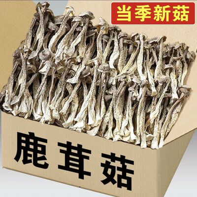 鹿茸菇干货新鲜自然晾晒鲜香脆爽口营养价值高煲汤非常鲜饭店批发