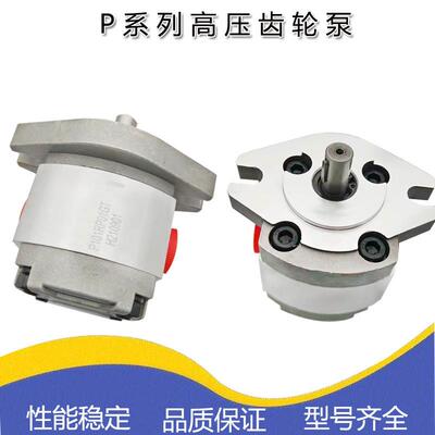 新款P102RP01GT压力油泵P104RP01GT P106RP01GT P109RP01GT铸包邮