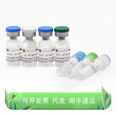 P5817，Recombinant Human BD-5，碧云天