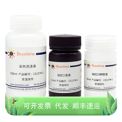 油红O染色试剂盒碧云天