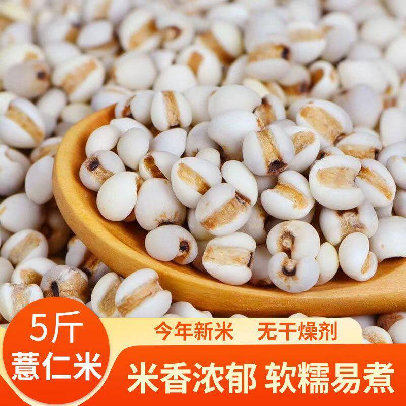 【厂家直发】大薏米仁新货云南苡仁茶苡米湿气新鲜农家自种薏仁米
