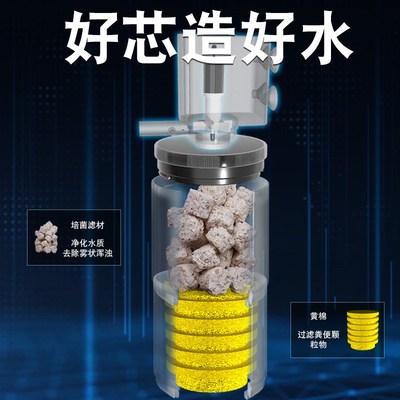 Aquarium fish of a complete set of circulating water