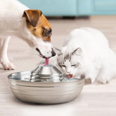 Pet Water Fountain Stainless Steel Drinking Bowl Cat Dog Eas