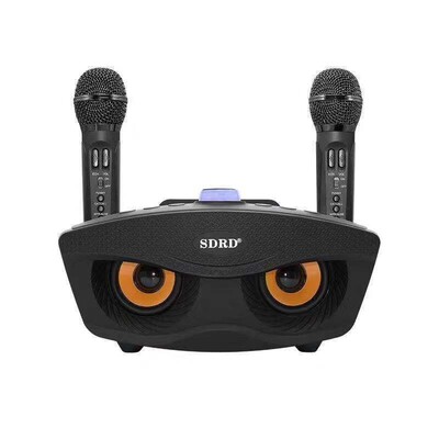 SD 306 Portable Family Karaoke System Two Wireless Microphon