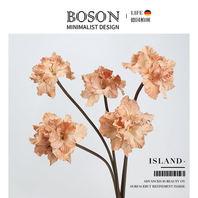 BOSON·Island·仿真花君子兰剑兰客厅插花装饰摆件家居 | 花屿