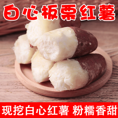 新鲜白心红薯5斤老品种板栗薯