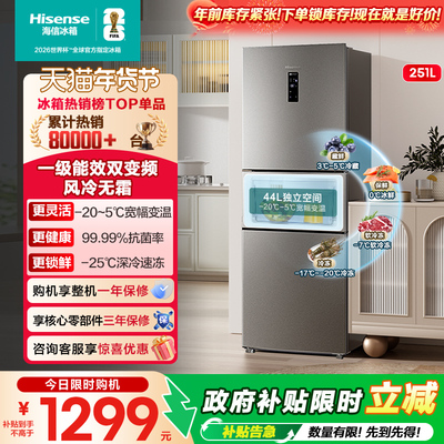 热卖5万+海信251一级节能冰箱